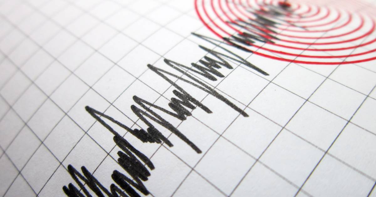 Earthquake Vibration (Seismic) Testing | Austest